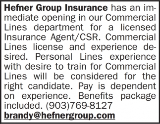 Licensed Insurance Agent, Hefner Group Insurance
